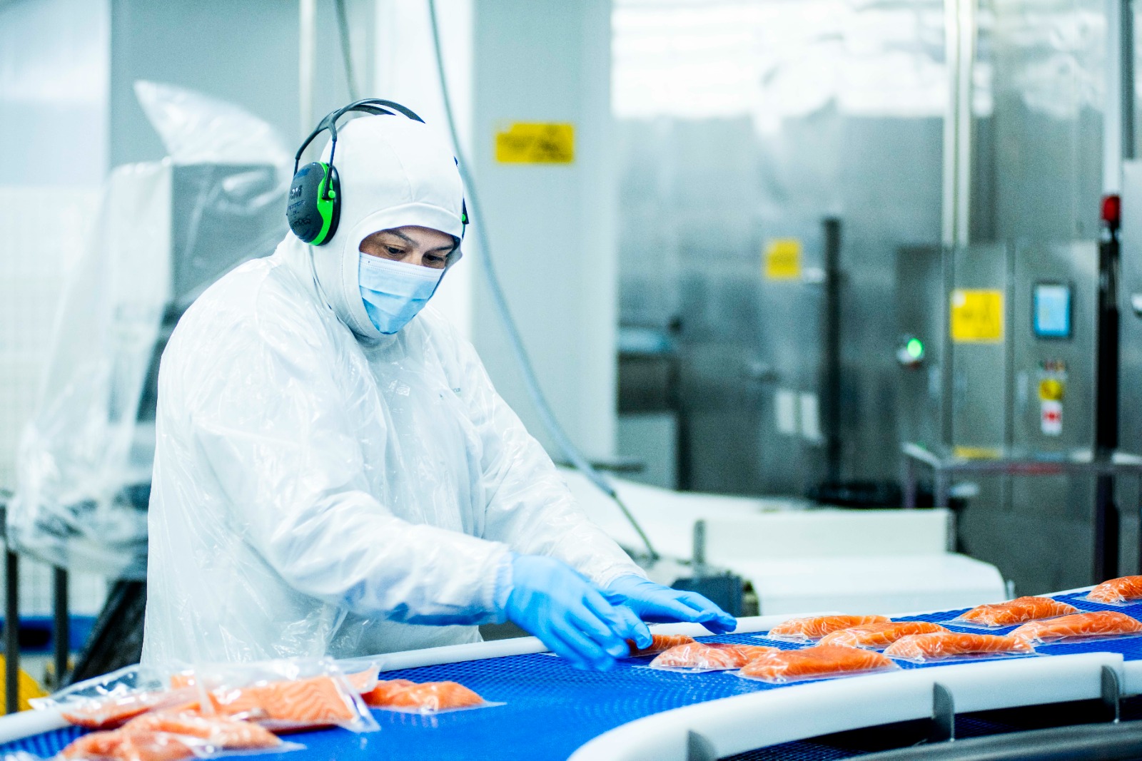 Cooke Chile: Cosechando el primer centro de salmón orgánico certificado ...